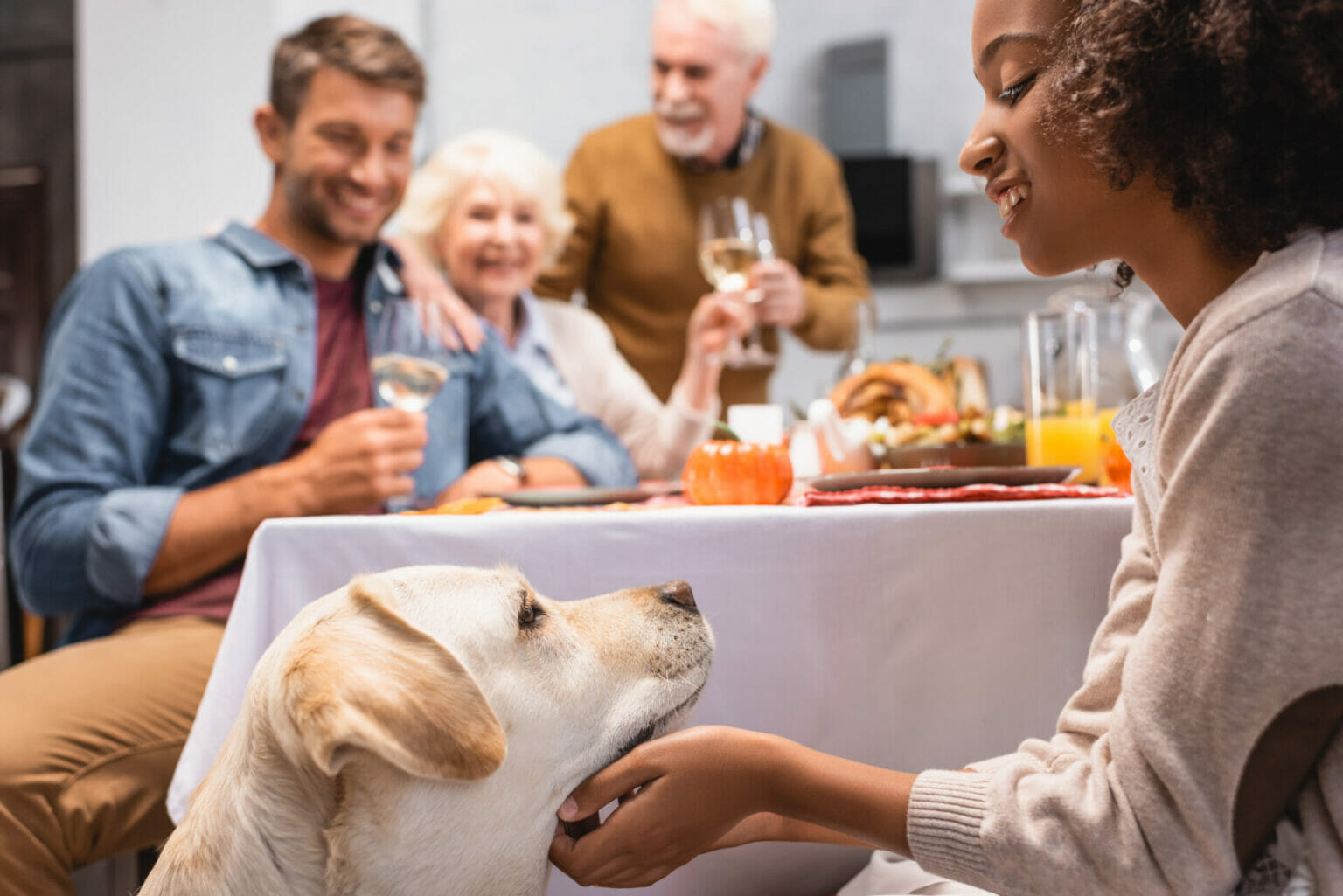 Thanksgiving Dinner For Dogs | Spot and Tango