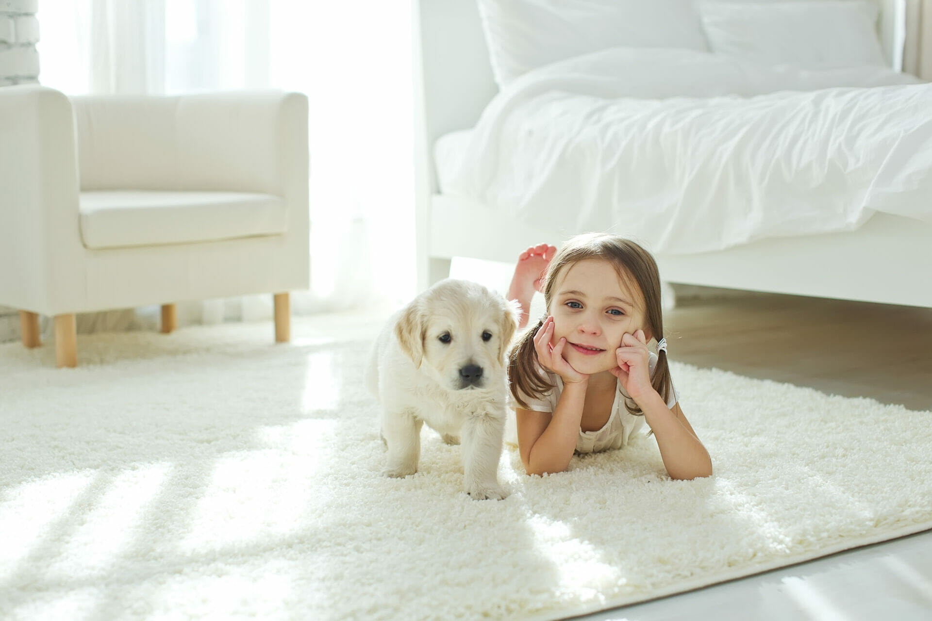 Ask The Experts: How To Leave Your Puppy Alone | Spot and Tango