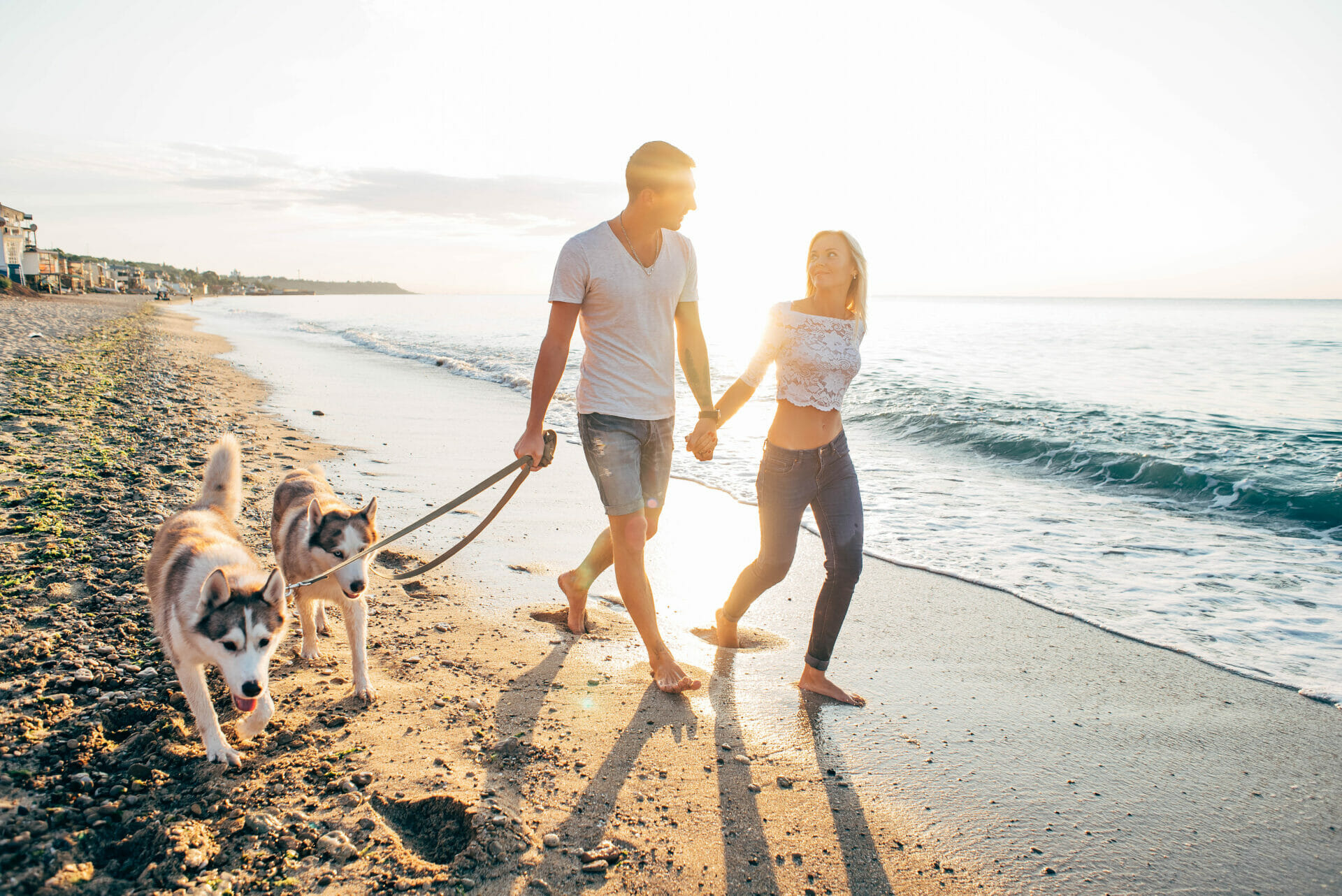 7 Date Ideas With Your Dog | Spot and Tango