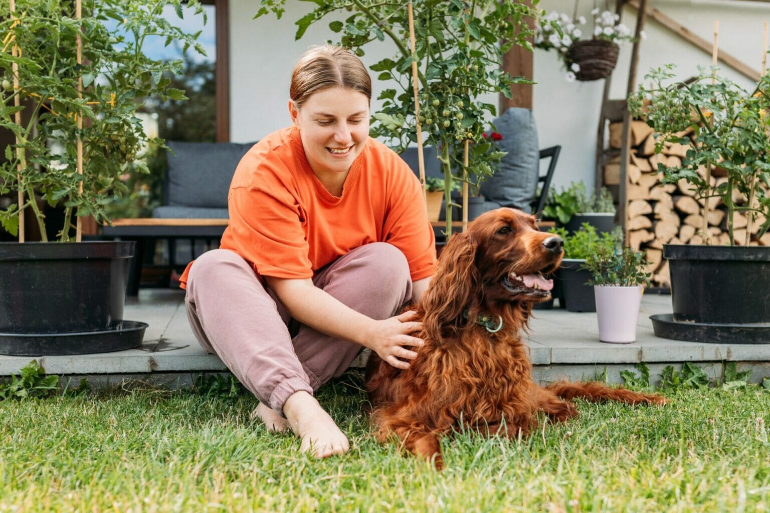 LA Dog Lover City Guide | Spot and Tango